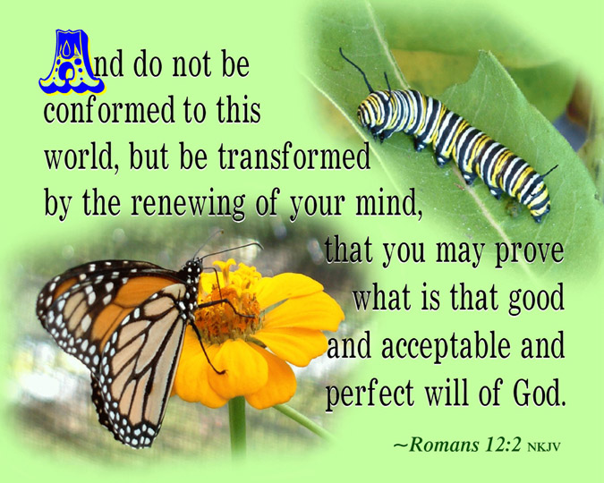 Romans Chapter 12 Romans Chapter 12